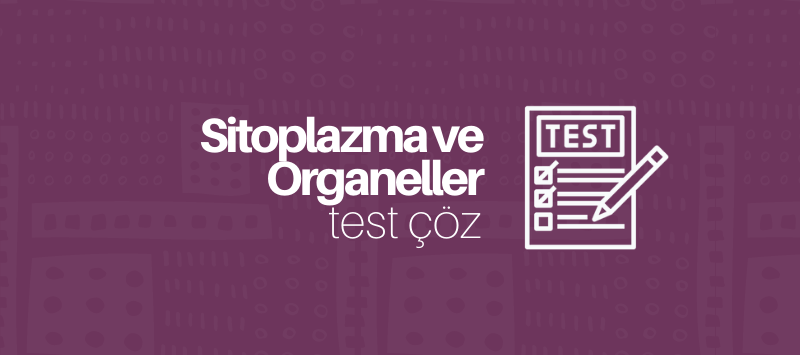 Sitoplazma ve Organeller Test Çöz » ÜniRehberi